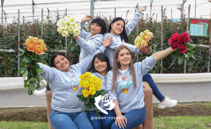 Eden Roses | Exquisite Ecuadorian Roses for Every Occasion
